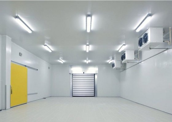 Industrial Modular Freezer Room For Ice Cream / Meat / Fruit Cold Storage